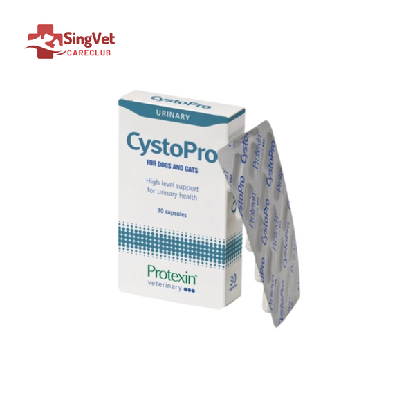 Bundle : 120 capsules of Cystopro Urinary Supplement (Protexin ...